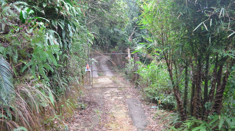 Tous Mes Conseils & Bons Plans Pour Visiter Fanling À Hong Kong