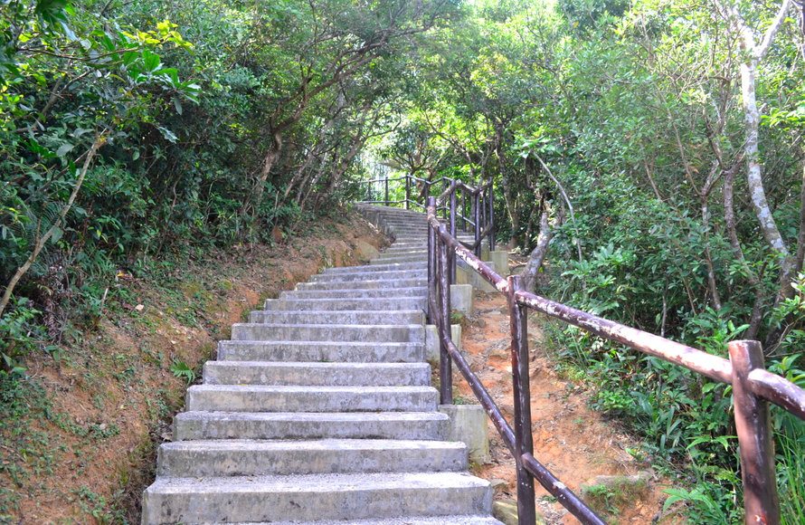 Tous Mes Conseils & Bons Plans Pour Visiter Fanling À Hong Kong