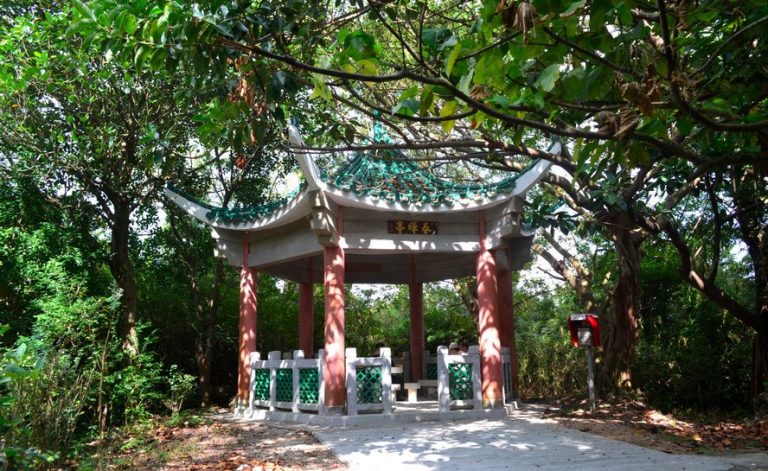 Tous Mes Conseils & Bons Plans Pour Visiter Fanling À Hong Kong