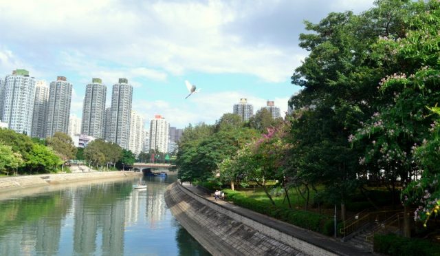 Visiter Tai Po - Sortir Hors Des Sentiers Battus De Hong Kong