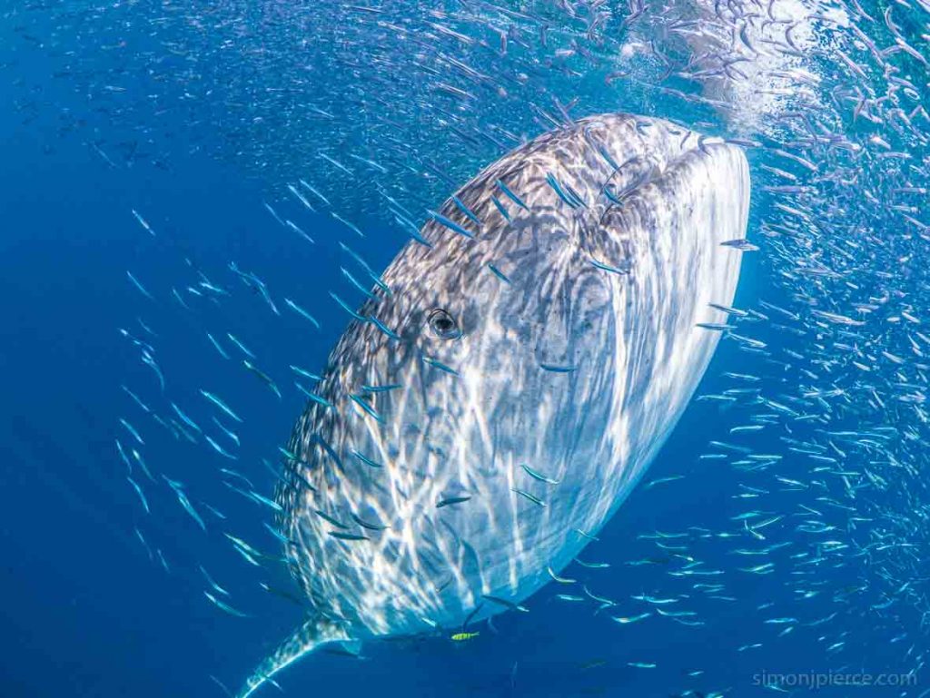 What To Do In Batanes - 6 Most Beautiful Places To Visit In 2025