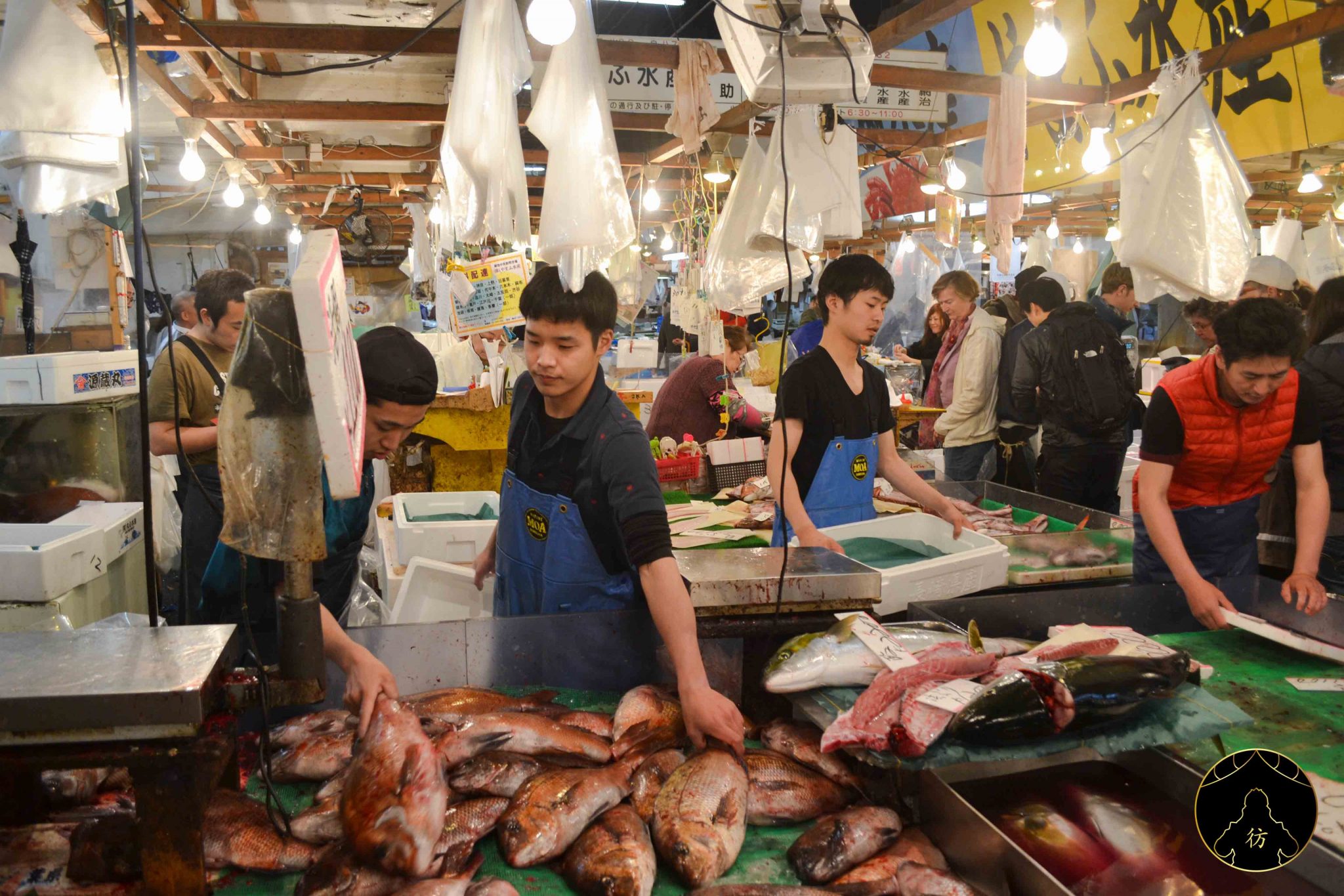 Visite De Tsukiji, Le Plus Grand Marché Aux Poissons Du Monde