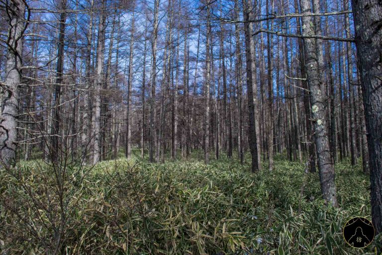 Nikko Japon - 8 Endroits Incontournables À Ne Pas Manquer