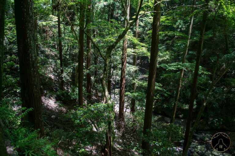 Osaka Japon - Les 10 incontournables à visiter absolument