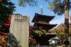 Gotokuji Temple - How To Visit The Lucky Cat Temple in Tokyo