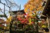 Gotokuji Temple - How To Visit The Lucky Cat Temple in Tokyo