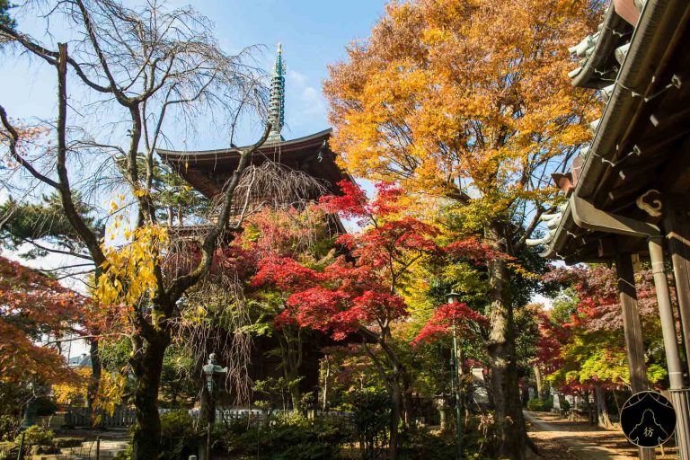 Gotokuji Temple - How To Visit The Lucky Cat Temple in Tokyo