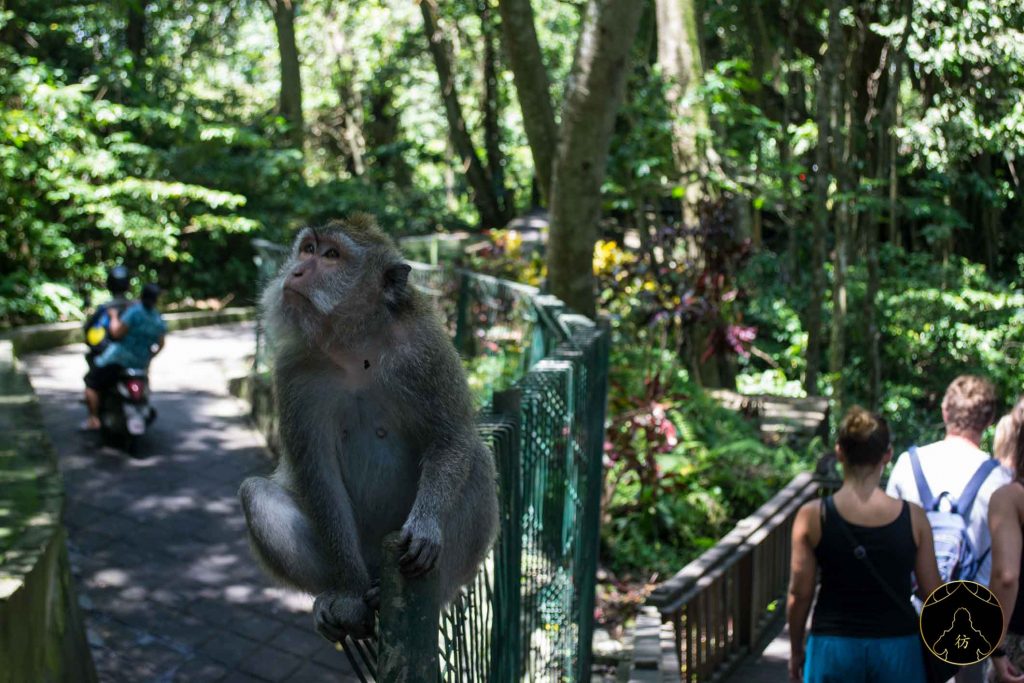 Ubud Bali Indonésie - Top 20 des endroits à visiter à Ubud et ses environs