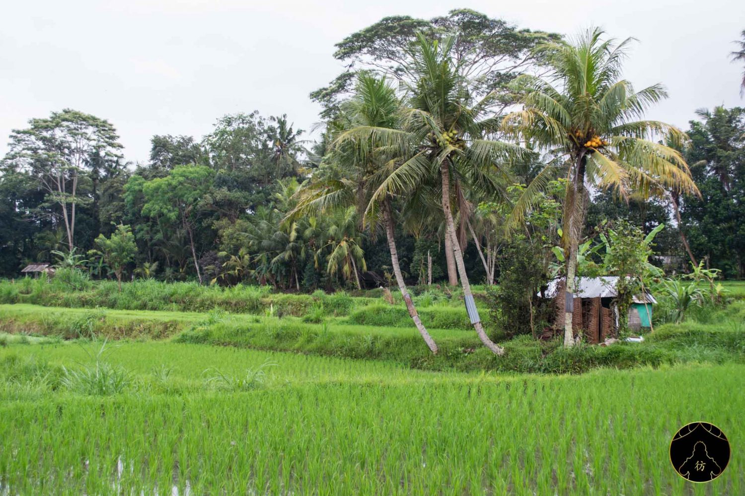 Dormir chez l'habitant à Bali - Immersion dans la culture Balinaise