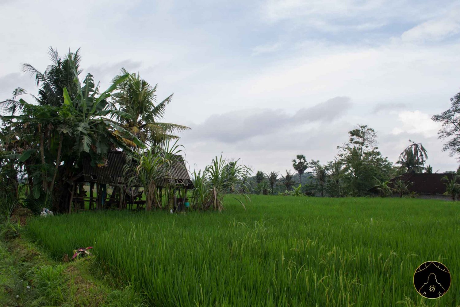 Dormir chez l'habitant à Bali - Immersion dans la culture Balinaise