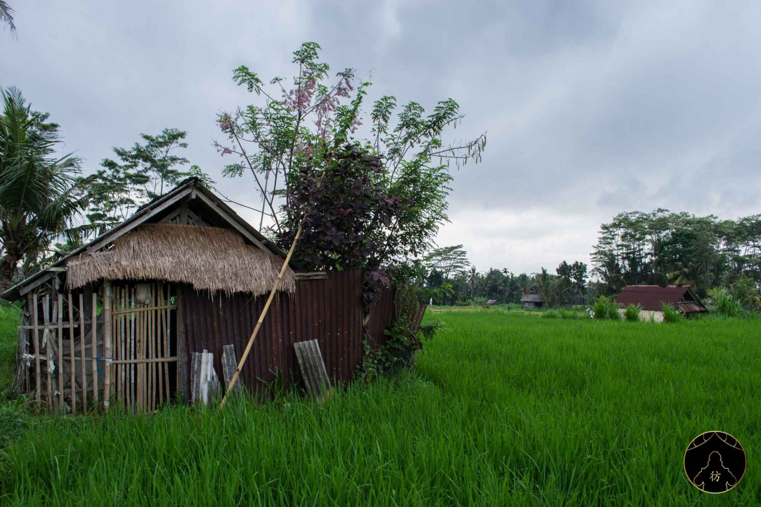 Dormir chez l'habitant à Bali - Immersion dans la culture Balinaise