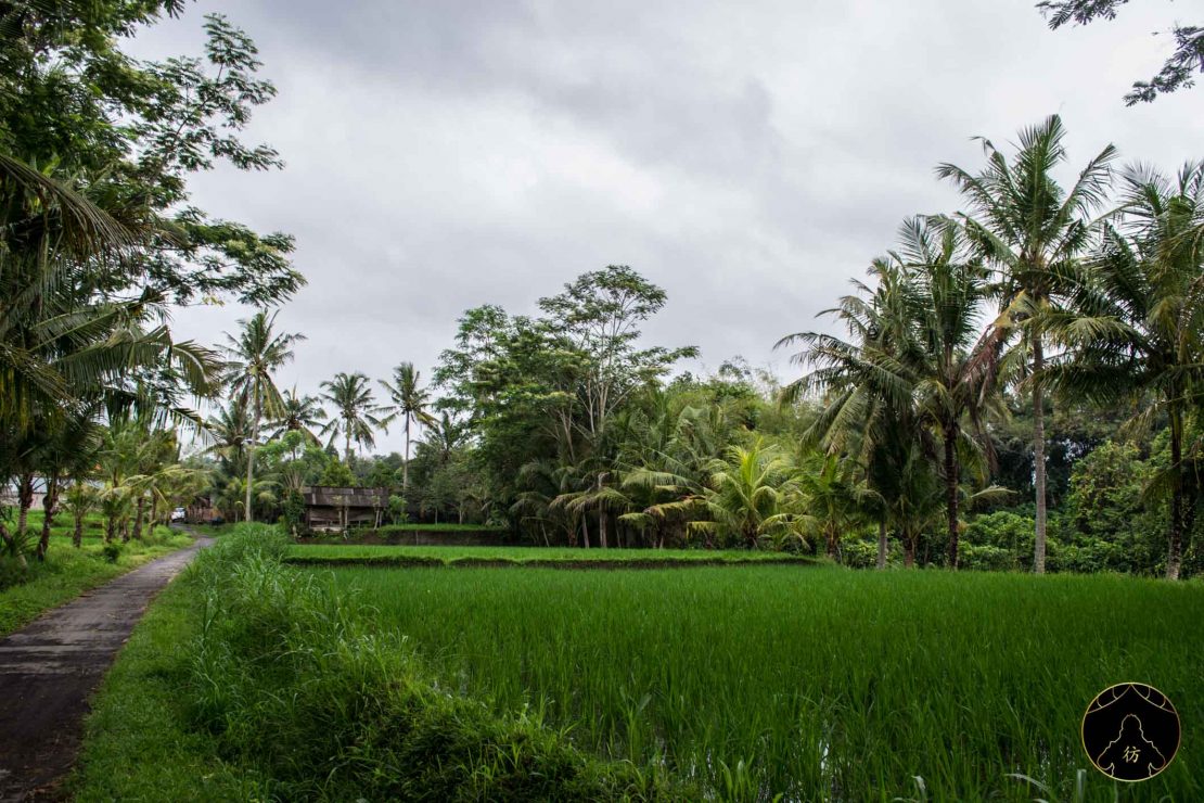 Dormir chez l'habitant à Bali - Immersion dans la culture Balinaise