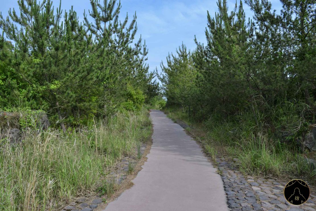 Sakurajima Volcano - Visit The Most Active Volcano in Japan!