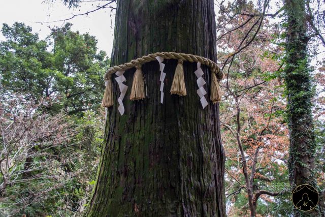 Visiter Le Mont Takao - Une Randonnée En Pleine Nature À Tokyo