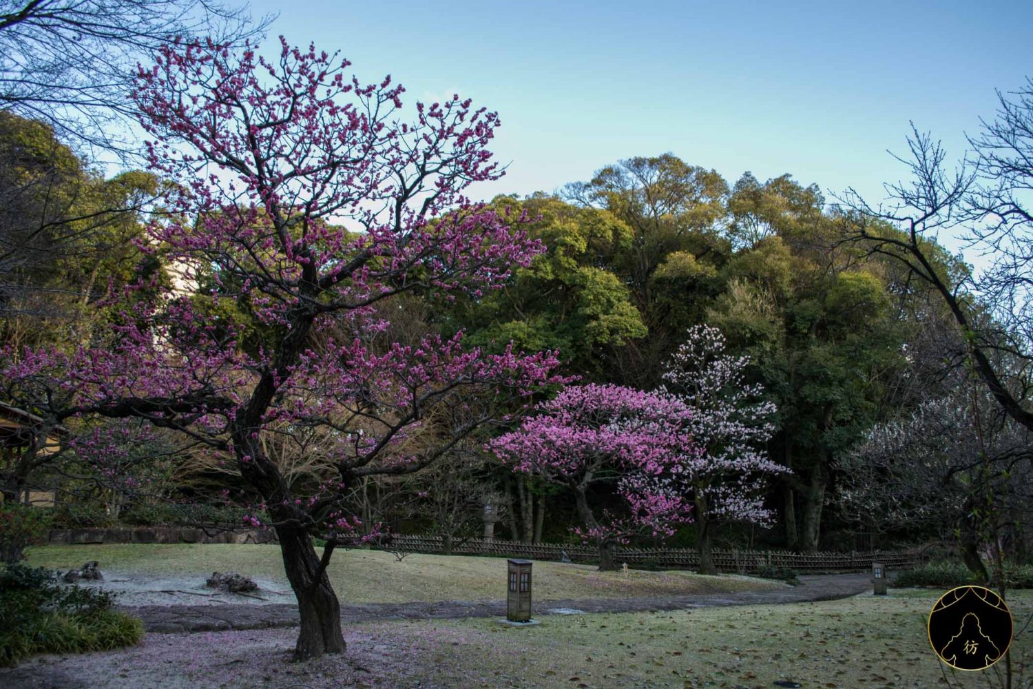 What To Do In Nagoya - 10 Unique Places You Should Really Visit