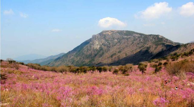 The 10 Best Things To Do In Daegu & More Travel Tips