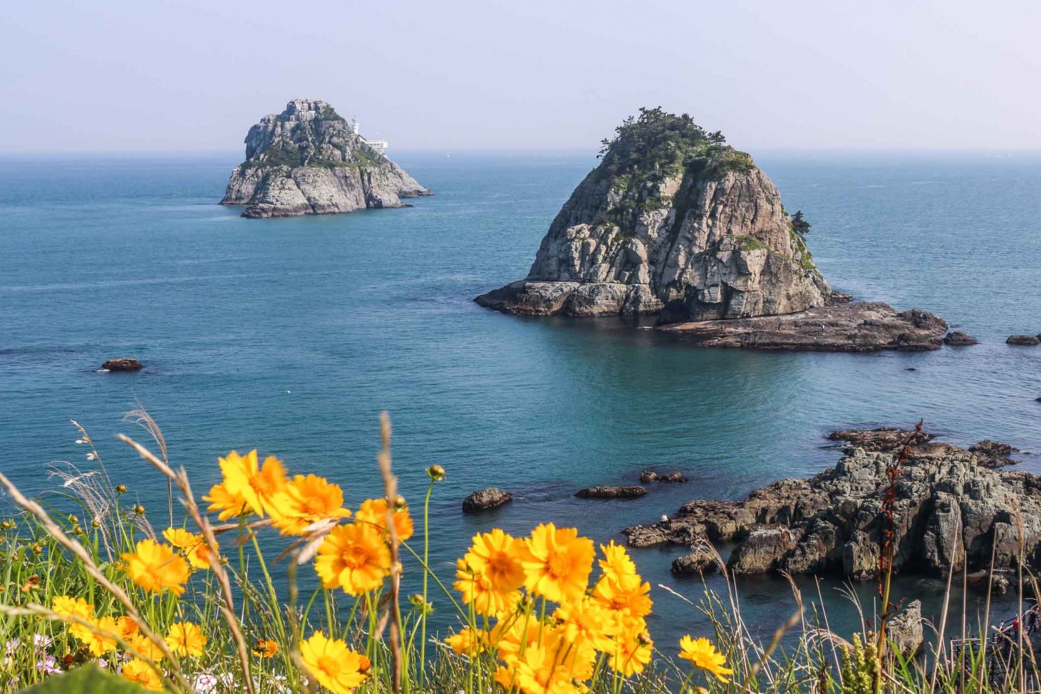 The 8 Coolest & Unmissable Things To Do In Busan In 2026