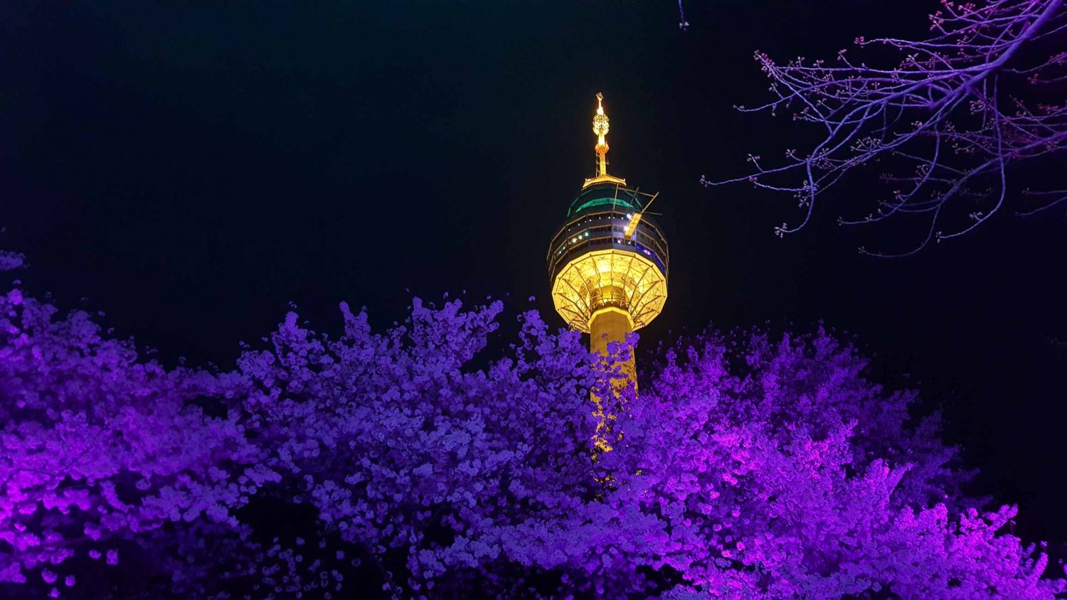 The 10 Best Things To Do In Daegu & More Travel Tips