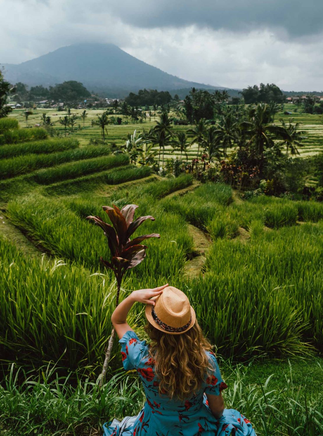 The 10 Most Beautiful Rice Terraces You Must Visit In Bali In 2025