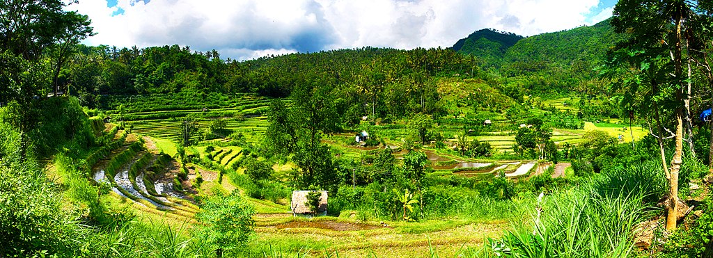 The 10 Most Beautiful Rice Terraces You Must Visit In Bali In 2025