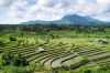 The 10 Most Beautiful Rice Terraces You Must Visit In Bali In 2025