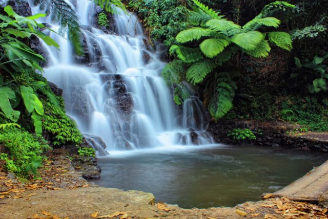 The 10 Most Beautiful Waterfalls You Have To Visit In Bali