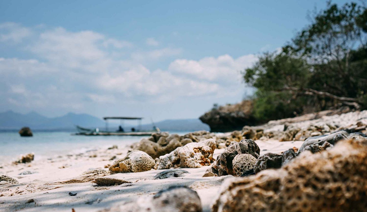 Canggu Travel Guide – All You Need To Know Before Your Trip