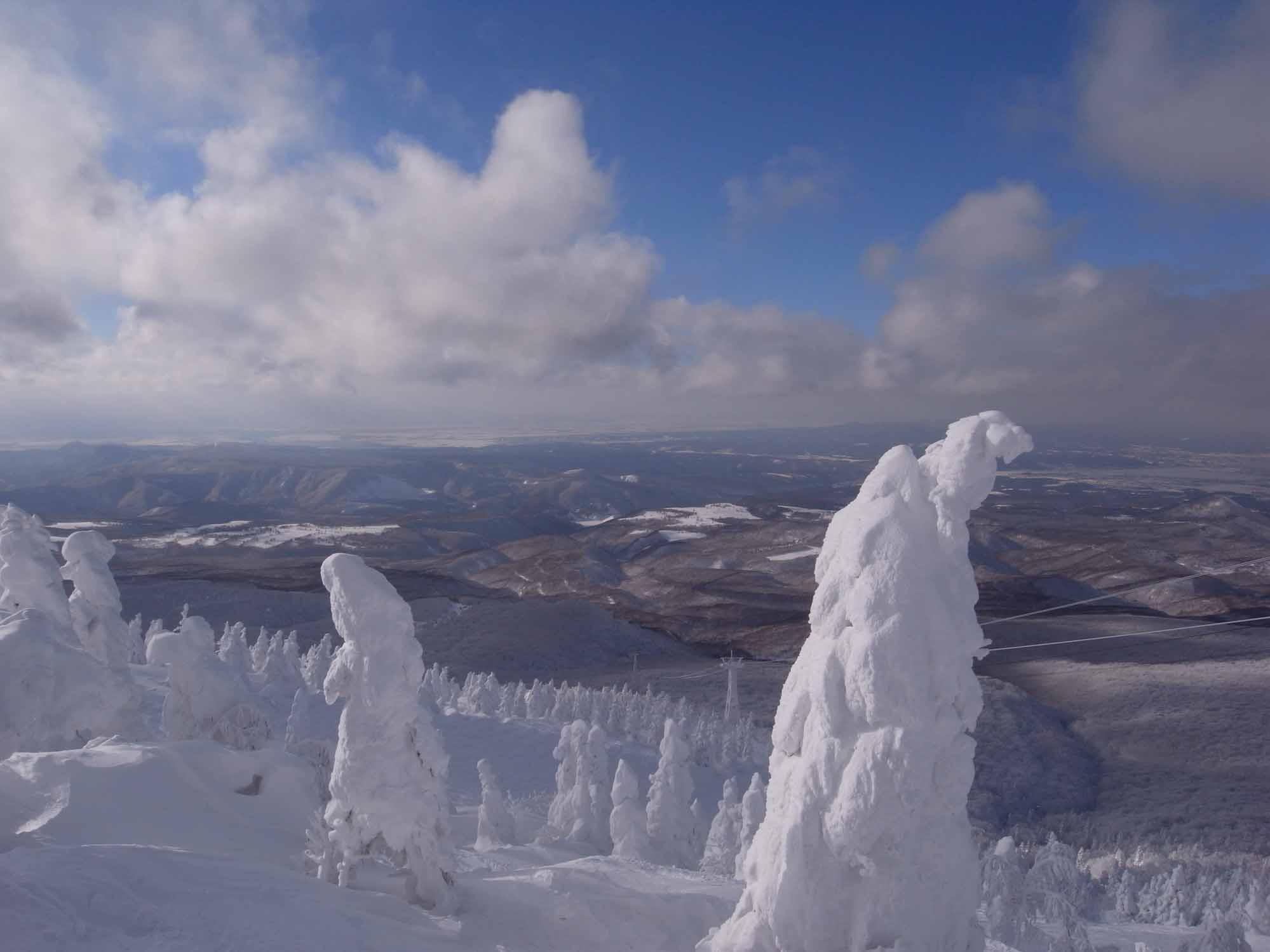 The 8 Most Unique Things To Do In Aomori In 2025