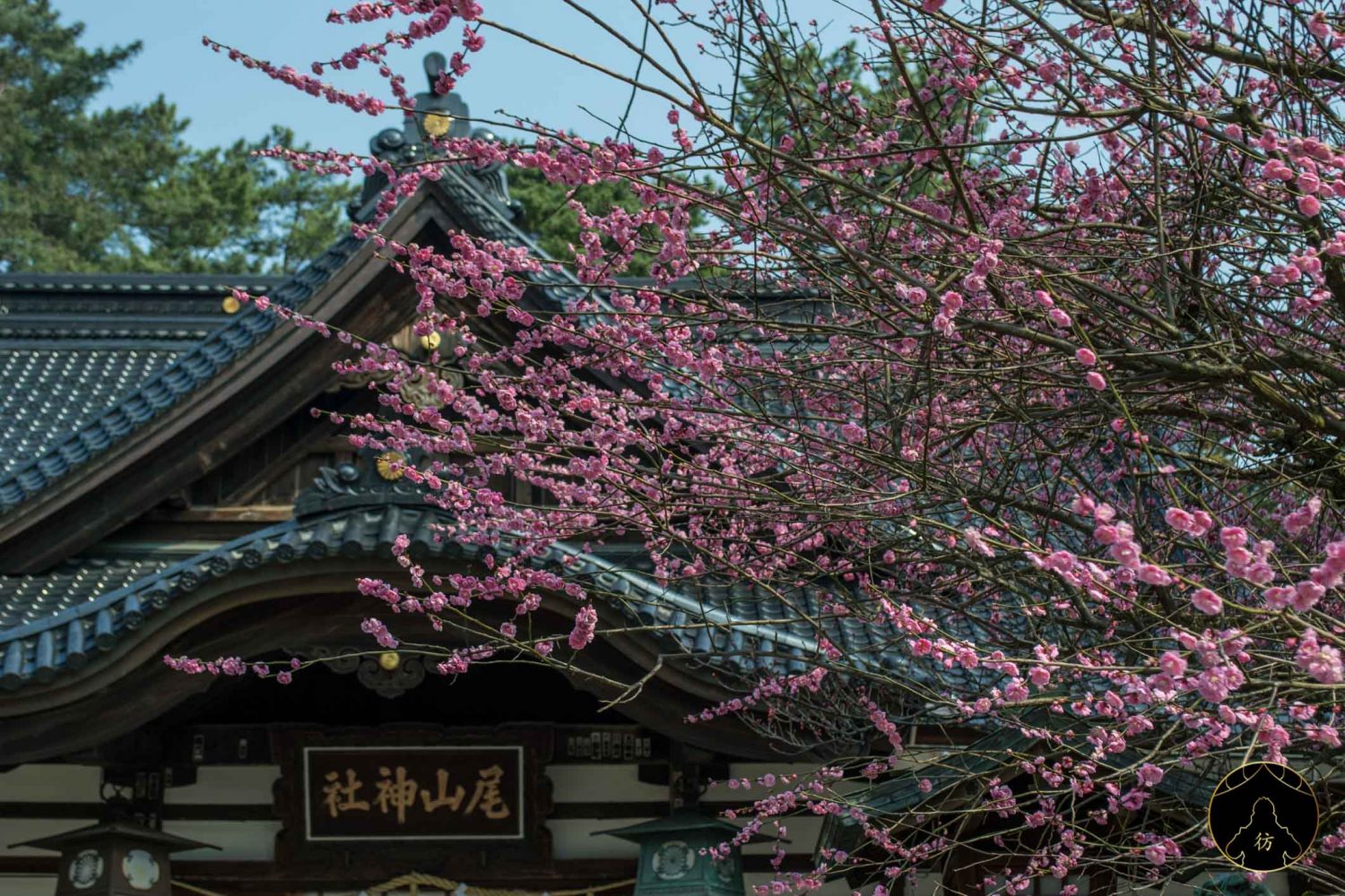 Que Faire À Kanazawa - 9 Incontournables À Visiter En 2026