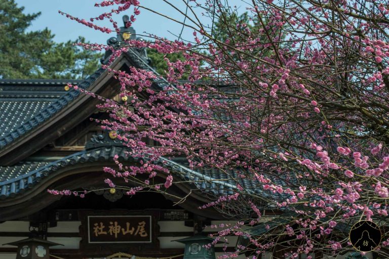 Que Faire À Kanazawa - 9 Incontournables À Visiter En 2026