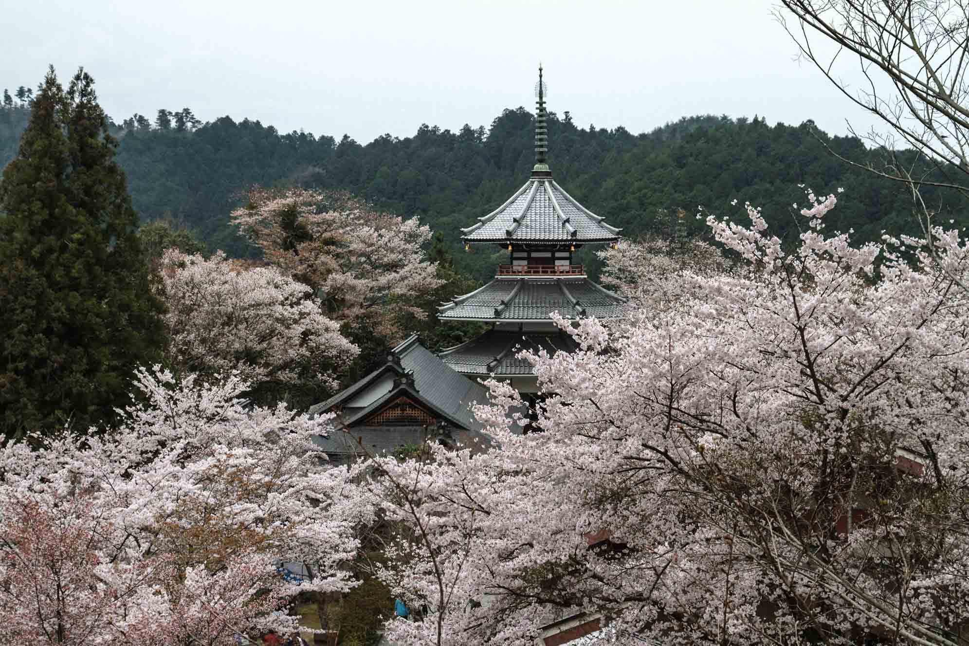 Japan Countryside – 10 Charming Villages You Should Really Visit