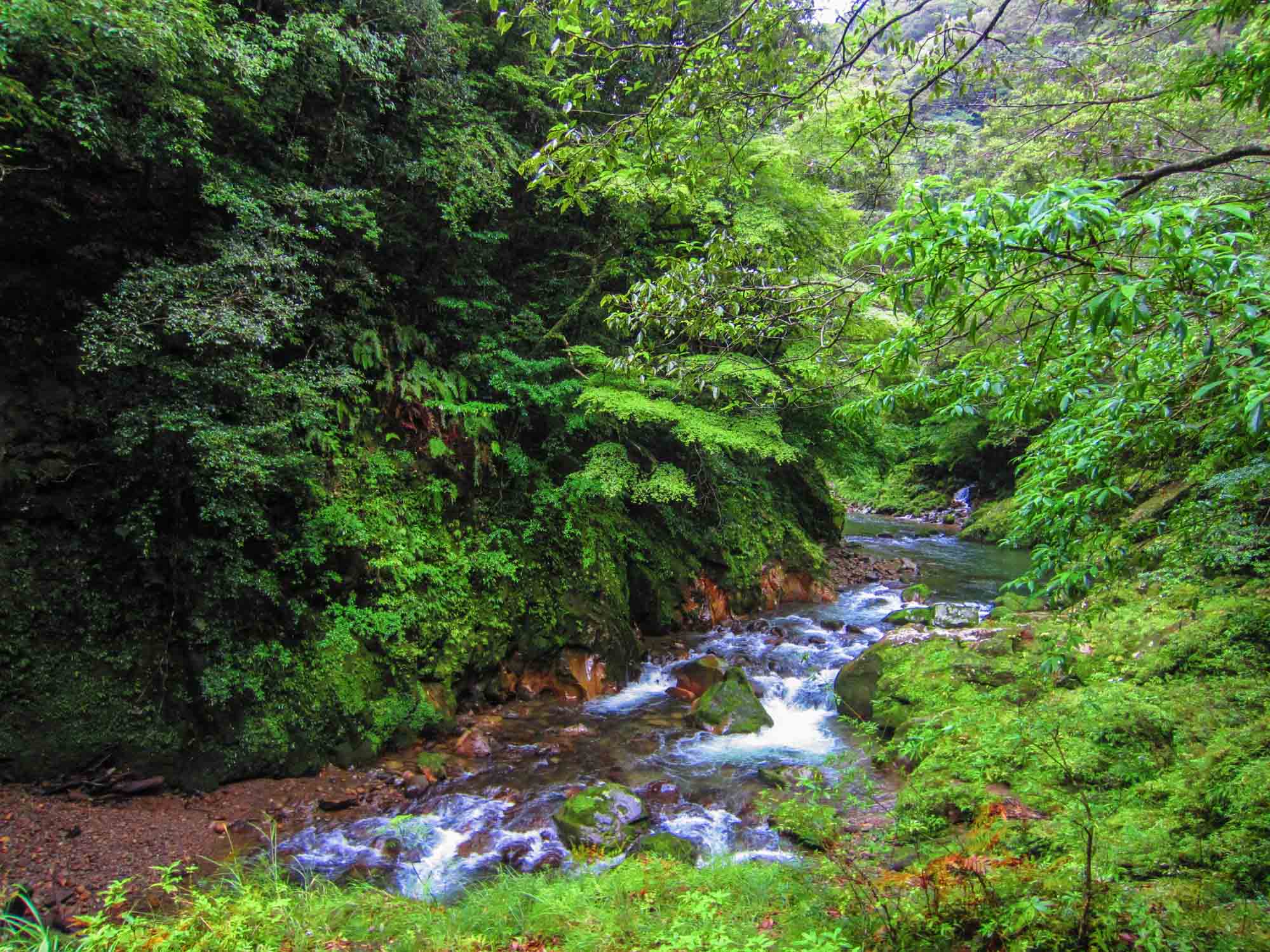 What To Do In Miyazaki - The 8 Unmissable Things To Do In 2025