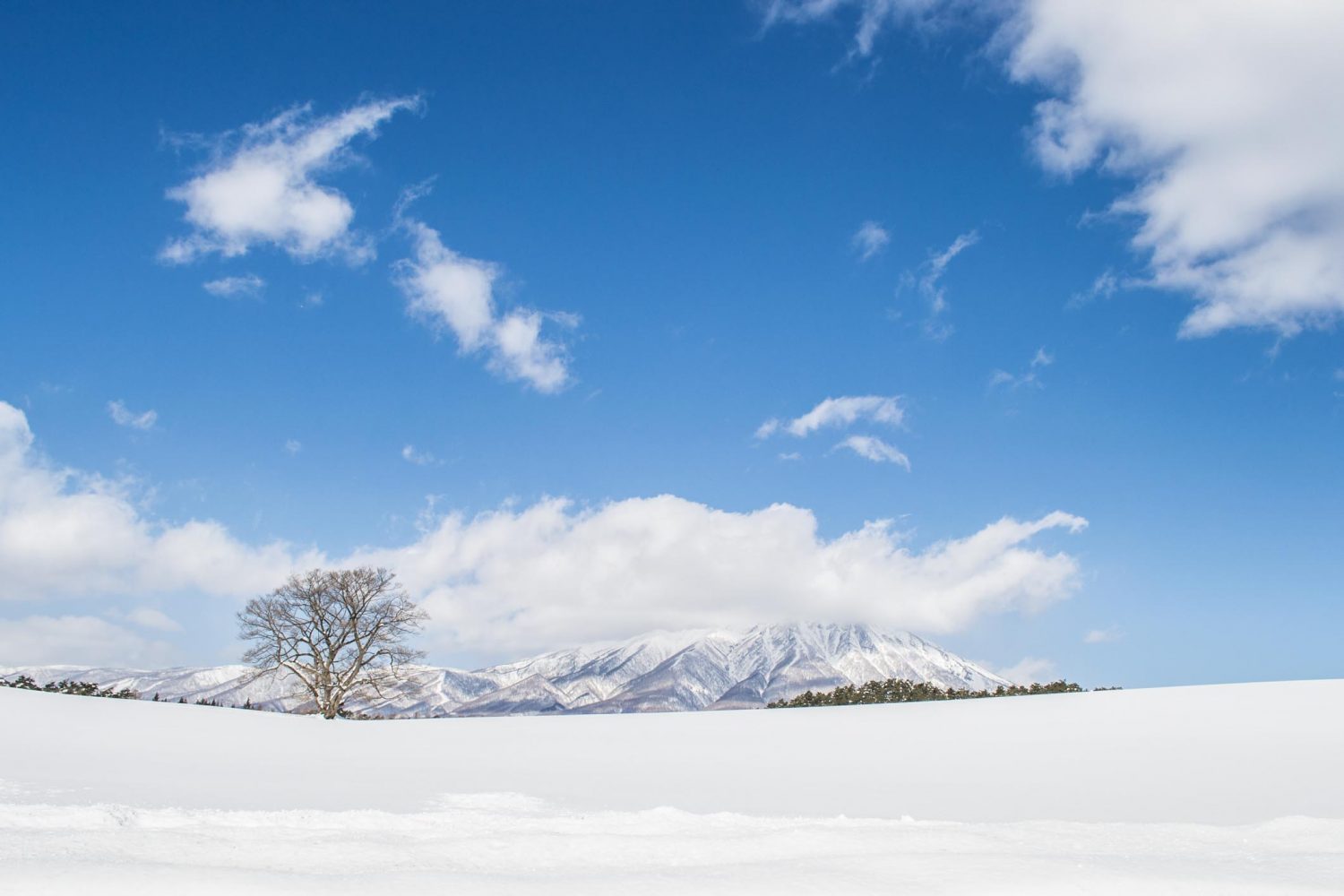 6 Reasons Why You Should Travel To Japan In Winter