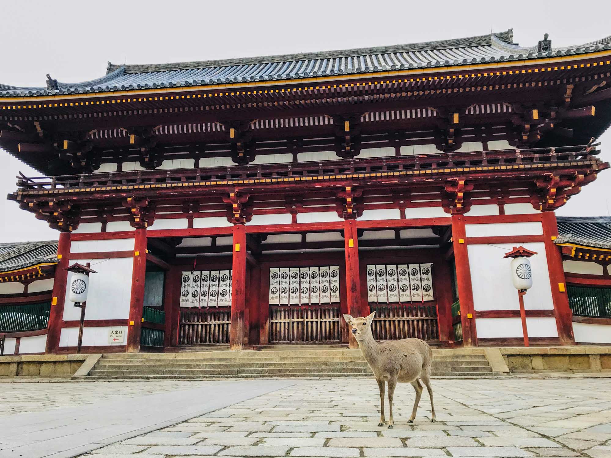 10 Hidden Ryokans In Nara You Need To Book In 2026