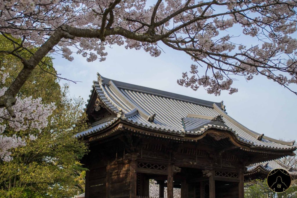 Takamatsu Japan - All My Travel Tips To Visit This Cool City in Shikoku
