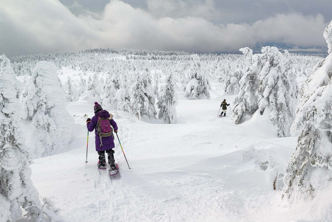 6 Reasons Why You Should Travel To Japan In Winter