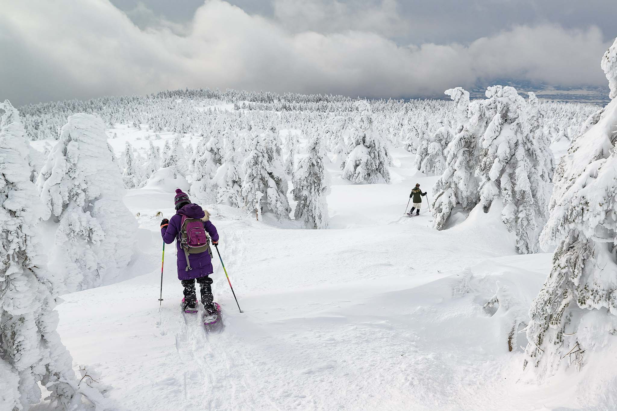 6 Reasons Why You Should Travel To Japan In Winter