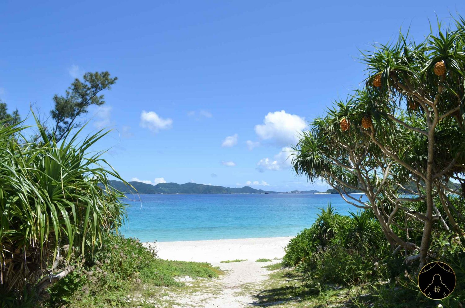 Visiter Zamami - Tous Mes Conseils & Bonnes Adresses [2025]