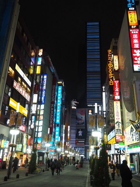 Kabukicho Shinjuku - A Guide To Visit Tokyo Red Light District!