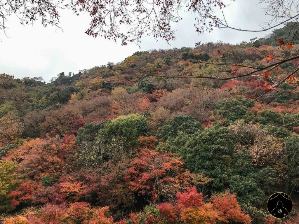 Shodoshima Japan - Discover This Beautiful Olive Island in Shikoku