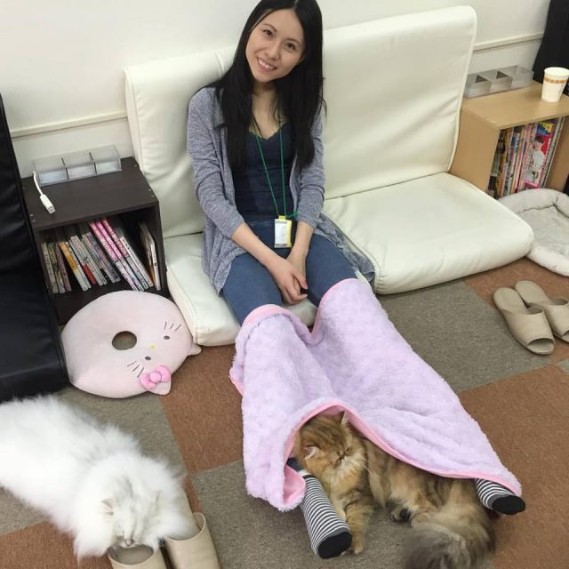 The 7 Most Unique Cat Cafes In Tokyo You Should Really Visit