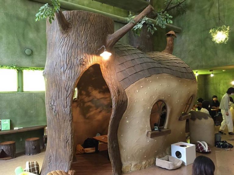 The 7 Most Unique Cat Cafes In Tokyo You Should Really Visit