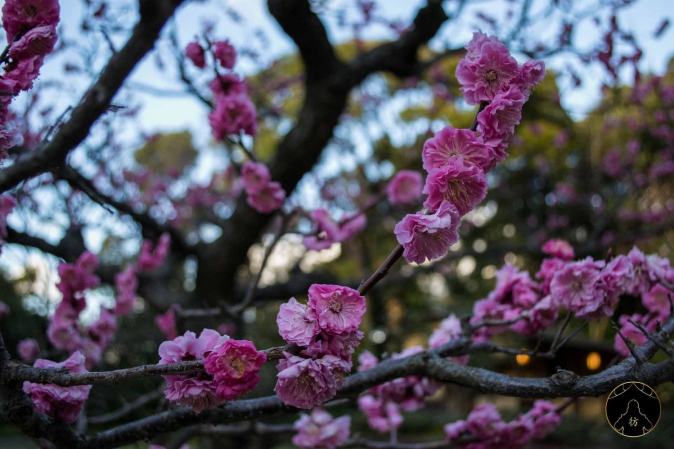 What To Do In Nagoya - 10 Unique Places You Should Really Visit