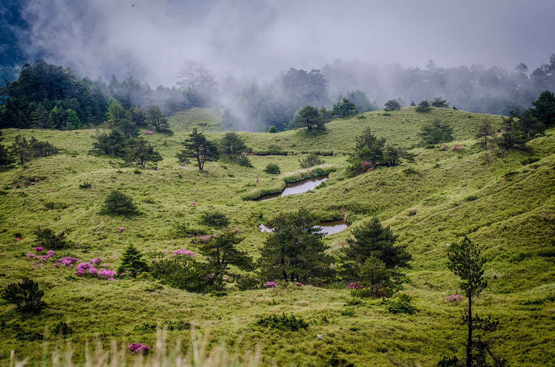 What To Do In Hualien - Discover The 8 Best Spots To Visit In 2025