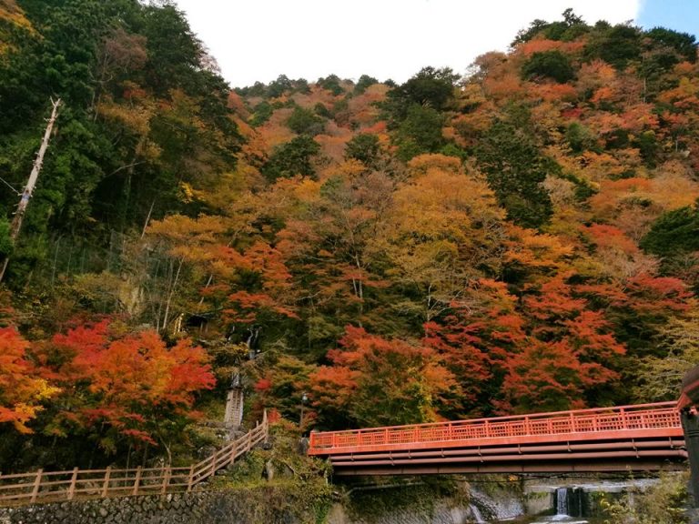 What To Do In Shizuoka City - 8 Beautiful Places Worth To Visit