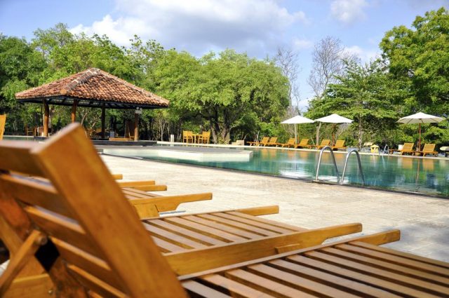 Dambulla Travel Guide | All You Need Know Before Your Trip