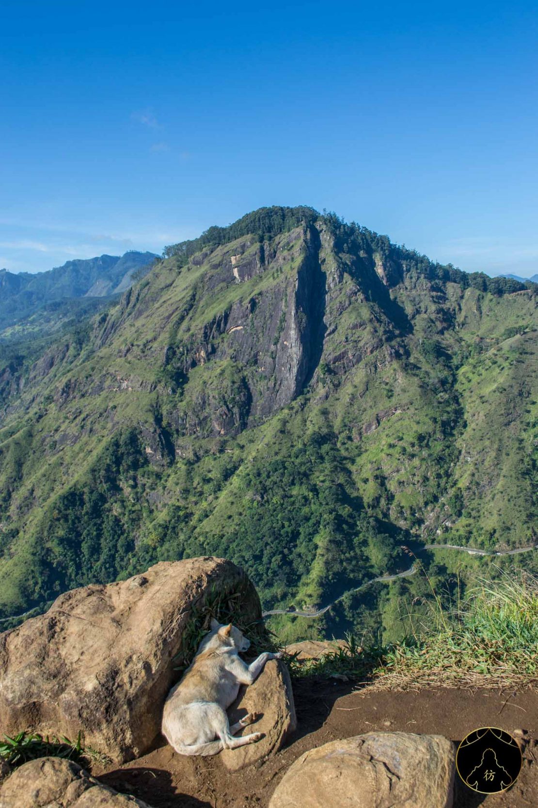What To Do In Ella - 6 Places You Should Visit In 2026