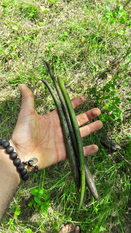 Tangalle Sri Lanka | A Complete Travel Guide To Visit This Heavenly City