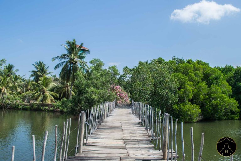 What To Do In Tangalle - The 8 Most Beautiful Places to Visit [2026]