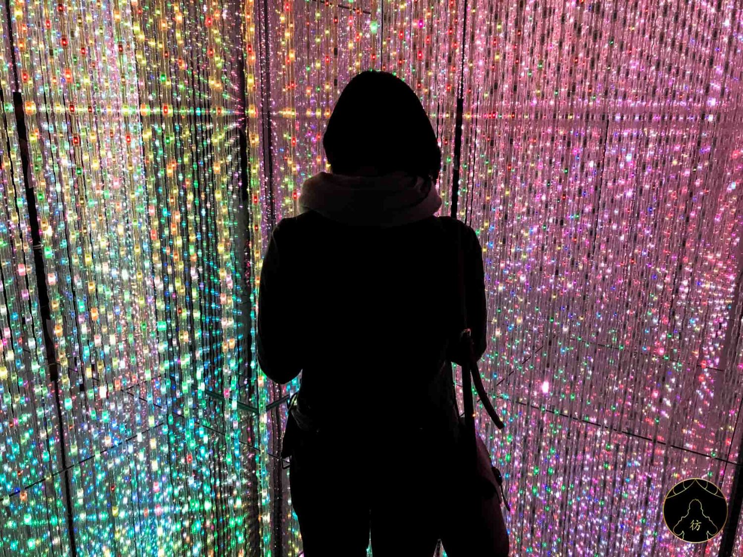Comment Aller Au TeamLab Borderless à Tokyo - Guide 2026